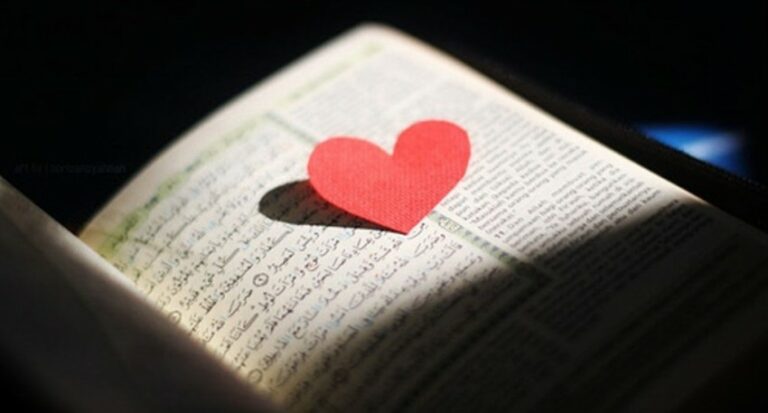 N-UM.com / Stranica koju volim