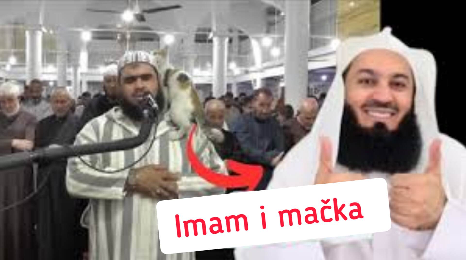 Imam i mačka | Mufti Menk o tom događaju - N-UM.com